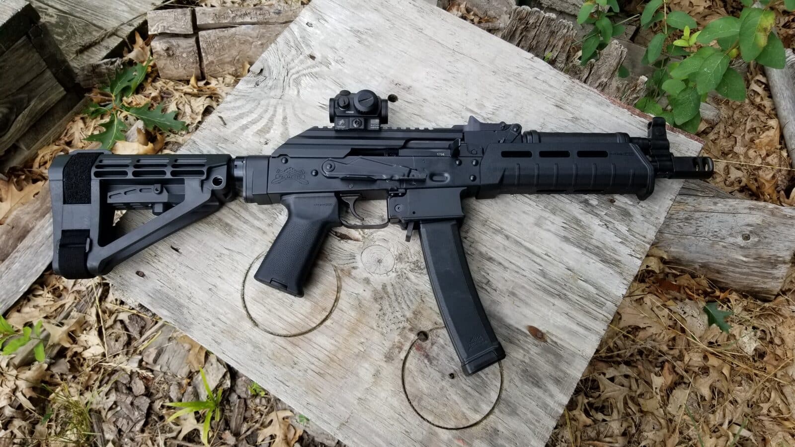 PSA AK-V Part Three: Changing the Brace, Adding a Red Dot and ...
