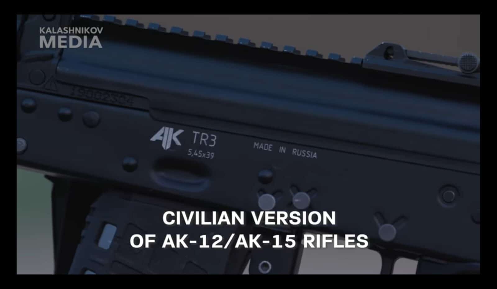 Video: Kalashnikov Concern Releases the Civilian Version of the AK-12 ...