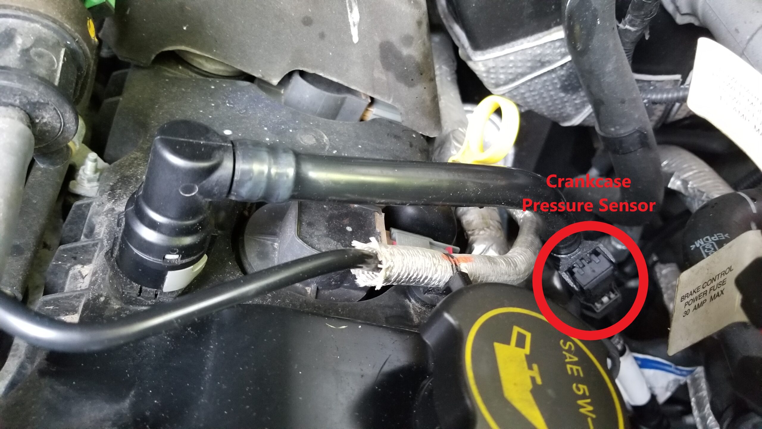 Crank-case-pressure-sensor-circled_v1 - Ronin's Grips