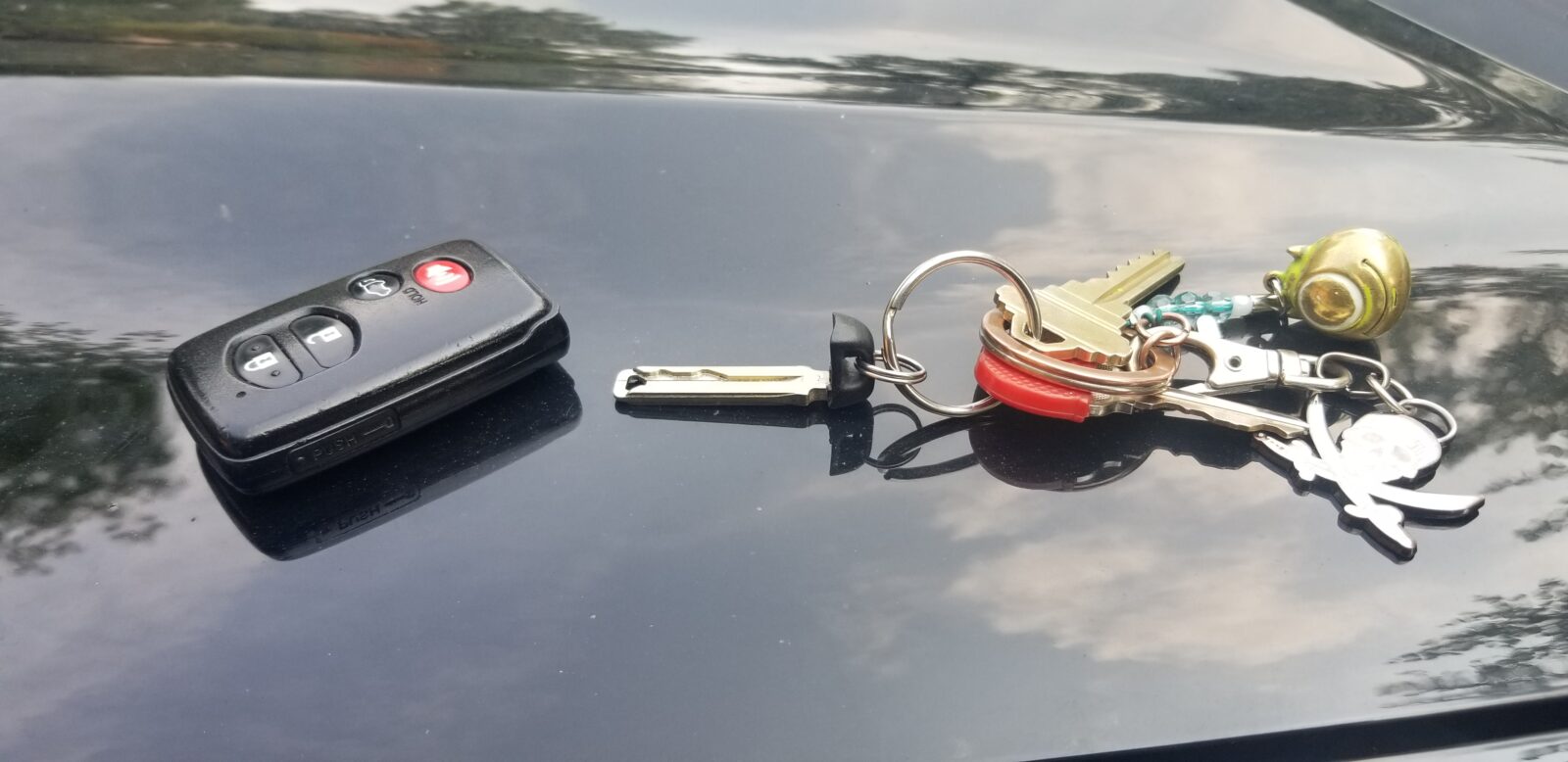 20210809_165858.jpg - Ronin's Grips