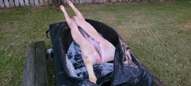 The SpitJack Rotisserie System - Part Two: Grilling Our First Pig ...