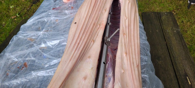 The SpitJack Rotisserie System - Part Two: Grilling Our First Pig ...